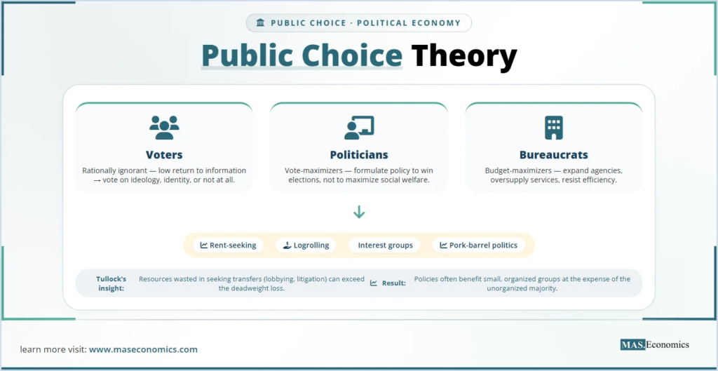 Public Choice Theory: How Economists Study Politics and Why Politicians ...